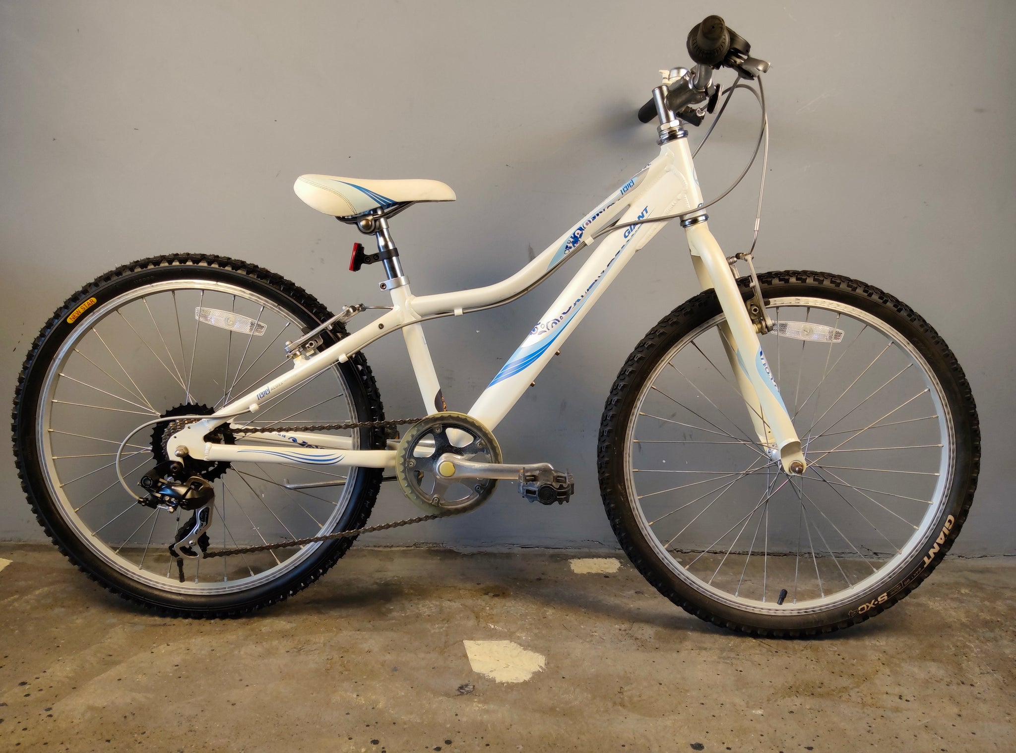 Giant Liv Revel Kids Bike